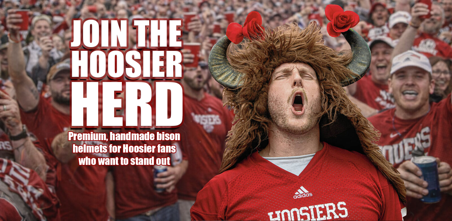 The Bison Helmet